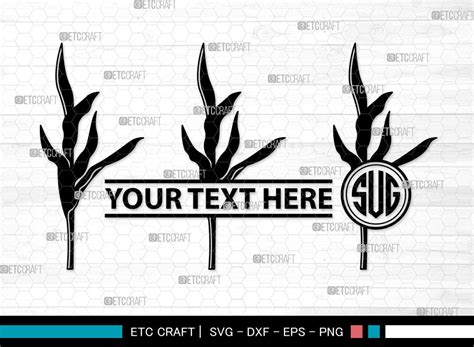 Corn Stalk Svg Monogram Corn Stalk Svg Graphic By Pixel Elites