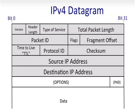 ipv4详解 ipv4 header csdn博客
