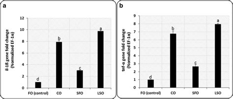 Effect Of Total Substitution Of Dietary Fish Oil With Plant Oils Corn