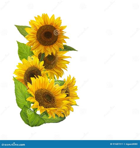 与美好和五颜六色的向日葵框架的动画片场面在白色背景 库存例证 插画 包括有 子项 开花 场面 国界的 91687311