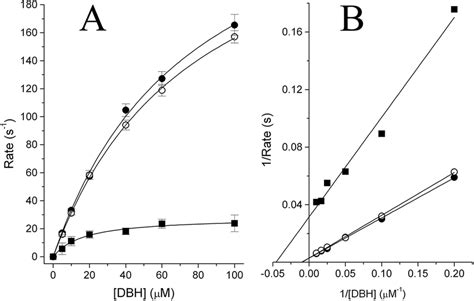 Kinetic Parameters Of The Steady State Activity Of P Denitrificans Bc