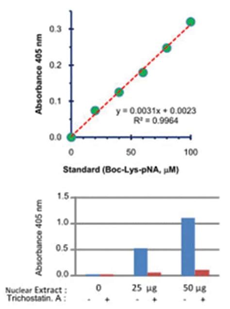 Abnova Hdac Activity Assay Kit Colorimetric 1 Kitcell Analysis