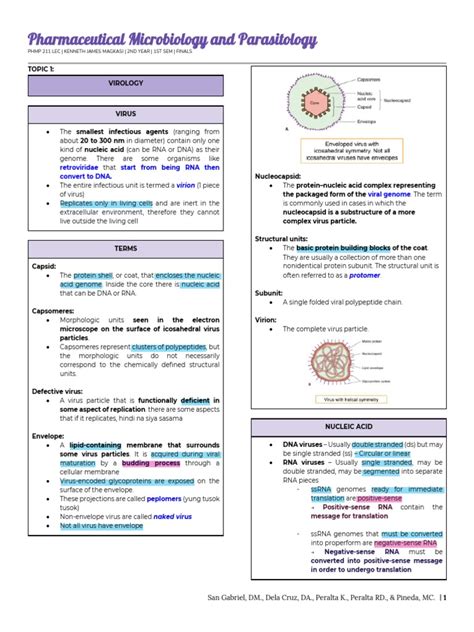 Phmp 211 Lec Complete Pdf Virus Sense Molecular Biology
