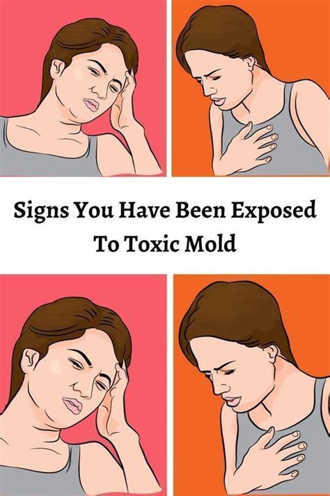 Warning Signs Youve Been Exposed To Toxic Mold And How You Can Prevent