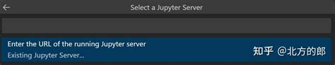 Vs Code 中的 Jupyter Notebook 知乎