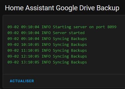 Impossible To Start The Addon Issue Sabeechen Hassio Google Drive Backup GitHub