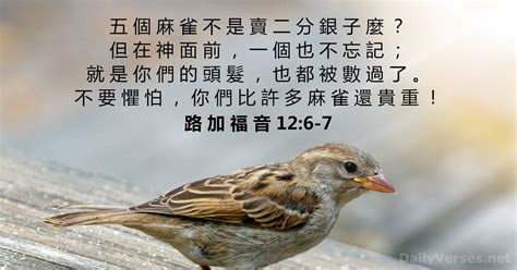 2020年6月18日 每日聖經金句 路 加 福 音 12 6 7 DailyVerses net