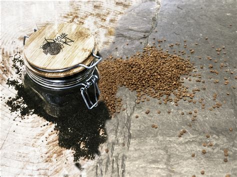 Tropical D Allio Plus Granulat Alimentación Discusart