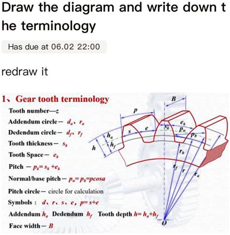 Solved Draw The Diagram And Write Down T He Terminology Has Due At06