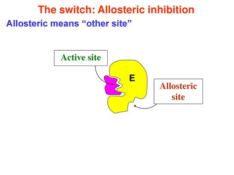 Receptor Ligand Interactions Cell Signaling And Enzyme Inhibition