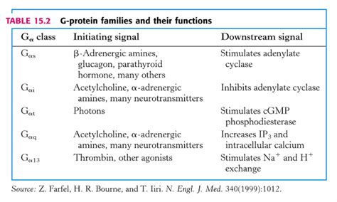 G Protein Family And Their Function MEDizzy