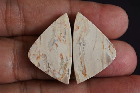 Fossil Palm Root Pair Etsy