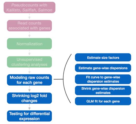 Rna Seq 详细教程： `deseq2` 差异表达分析（7）deseq2差异分析 Csdn博客