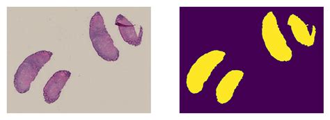 Semantic Segmentation Models Tia Toolbox 140 Documentation