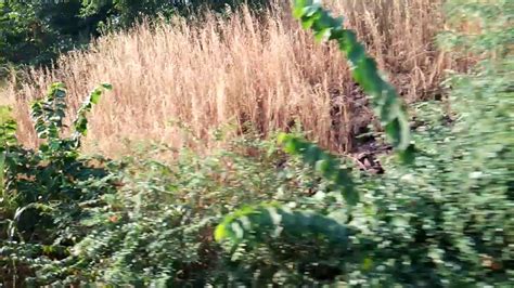 Awesome Scenery Itarsi To Bhopal Train Route Beautiful Nature