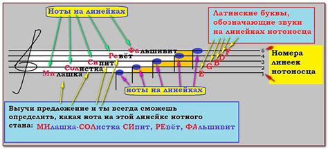 Нотный стан. Ключи