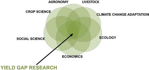 Re Positioning The Yield Gap Adapted From Meffe Et Al 1997