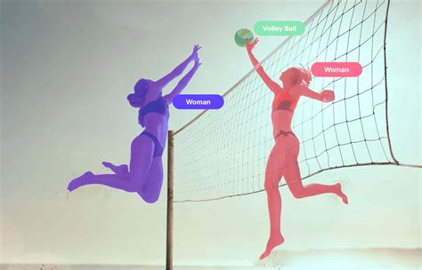 Instance Segmentation In Computer Vision 2024 Overview Encord