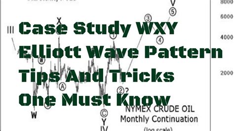 Case Study Wxy Elliott Wave Pattern Tips And Tricks One Must Know Youtube