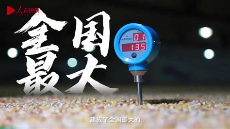 粮仓里的中国丨藏粮于技粮仓技术新浪新闻