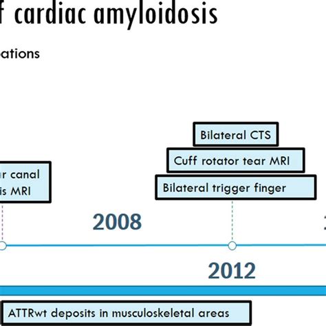 Bifid Median Nerve Without A Persistent Median Artery And Tenosynovial Download Scientific