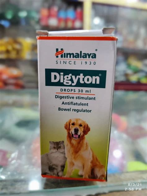 30ml Digyton Drops At ₹ 120bottle In Nagpur Id 2857749430155