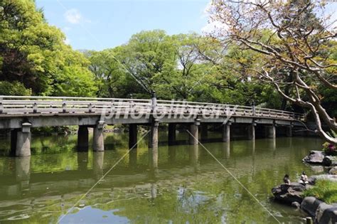 京都 京都御苑 九條池に架かる高倉橋 写真素材 3602006 フォトライブラリー photolibrary