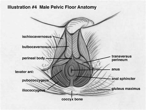 Orgasm Control Ways To Train Your Body To Finish On Command