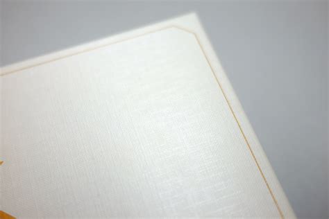 Ld柄 事例紹介｜モリカワペーパー株式会社