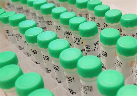 Por qué se cree que el COVID podría haber aparecido por una fuga en un laboratorio chino