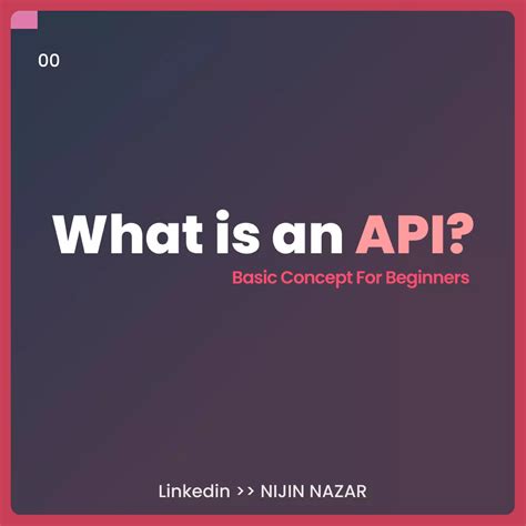 what is an api best explanation pdf