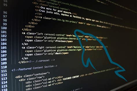 MySQL入門者必見MySQLとデータベースの基礎を徹底解説 CodeCampus
