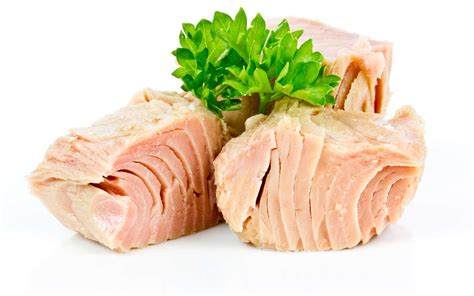 Pescados Con Más Omega 3 6 Y 9 Del Mercado ¿cuáles Son Gadis Saudable