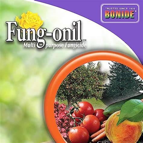 Bonide Fung Onil Multi Purpose Fungicide 16 Oz Concentrate For Plant