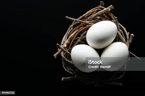 부활절 배경입니다 검은 배경에 지점에서 둥지에 흰색 달걀 4월에 대한 스톡 사진 및 기타 이미지 4월 개체 그룹 검은색