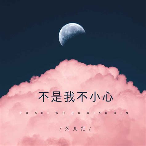 不是我不小心久儿红高音质在线试听不是我不小心歌词歌曲下载酷狗音乐