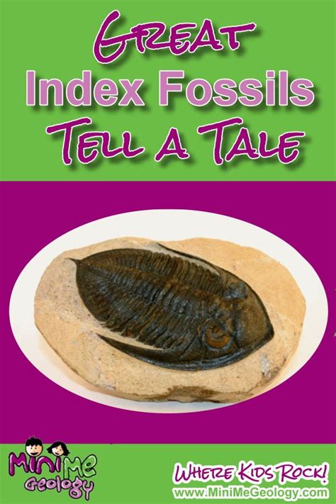 Great Index Fossils Tell A Tale Of History Artofit