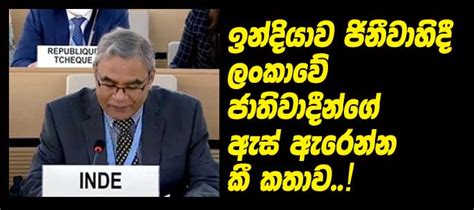 Len Indias Speech In Geneva For Open The Eyes