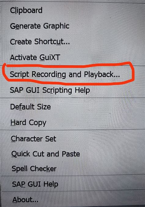 how to run sap scripting activities uipath community forum