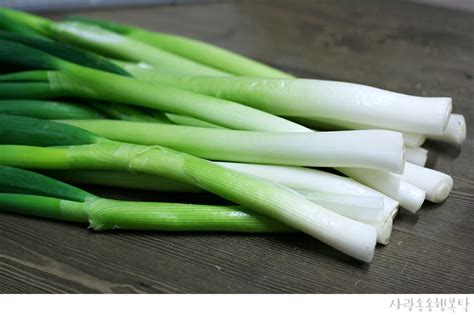 대파보관법 냉장 냉동 살림노하우 공유 Zum 허브