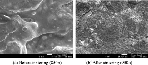 Morphology Of The Sintered Parts By Sem Download Scientific Diagram