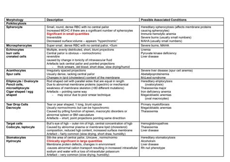CSMLS Study Guide Etsy