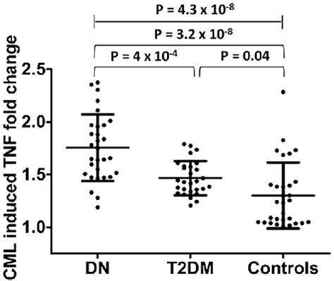 N6 Carboxymethyllysine CML Induced Tumor Necrosis Factor TNF Fold