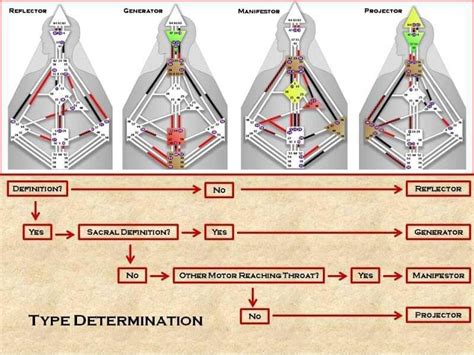 How To Make Correct Decisions Human Design System Authority Hierarchy Artofit