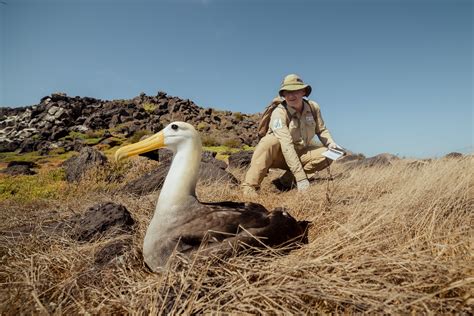 Galápagos Conservancy Announces New Acting President Galápagos