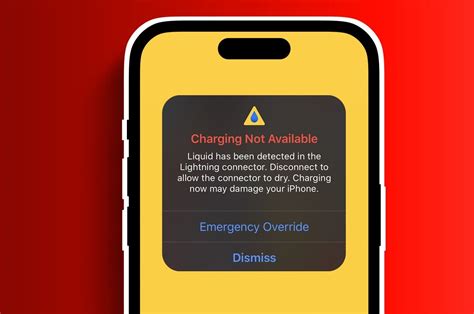 Steps For Drying A Wet Iphone Lightning Connector Citizenside