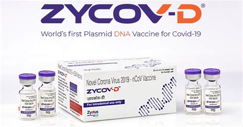 All About Zydus Cadila S DNA Covid Vaccine ZyCoV D