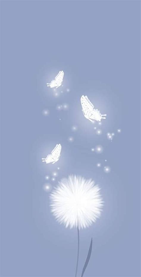 master robin schwert master robin schwert bert fanpage