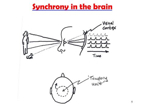 Ppt Emergent Low Dimensional Behavior In Large Systems Of Coupled Phase Oscillators Powerpoint