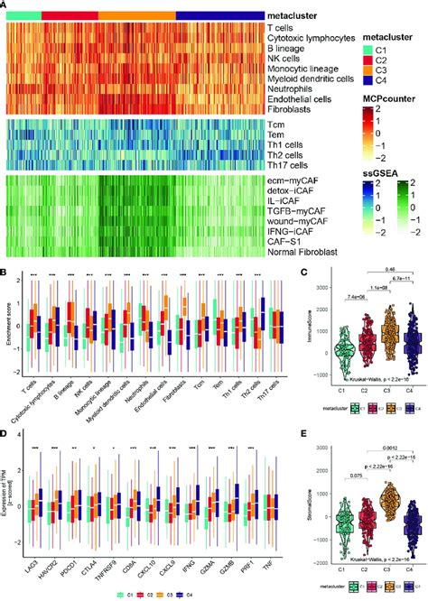 Correlation Between Gc Subtypes And Tumor Infiltrated Immune Cells A